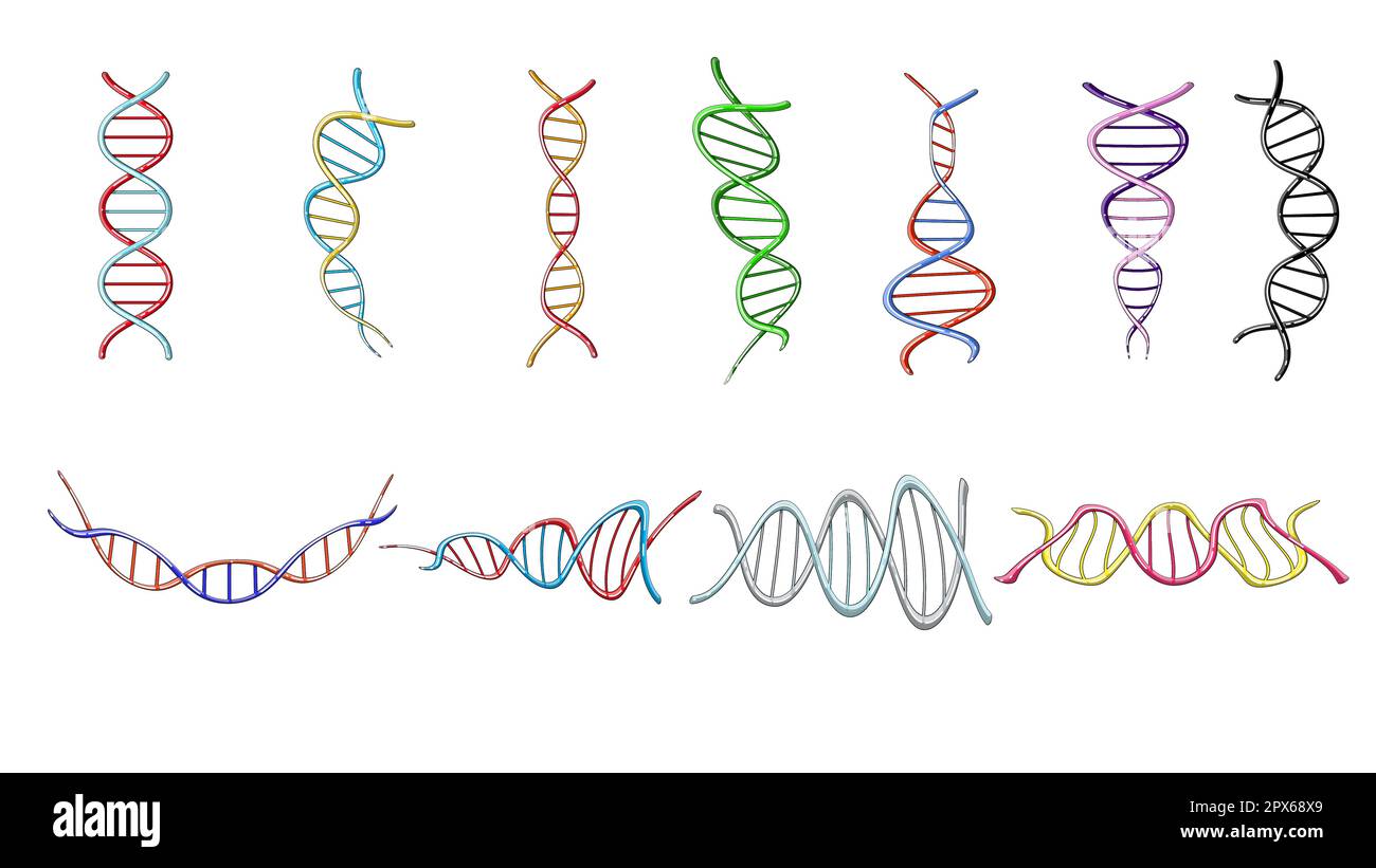 A large set of multi-colored beautiful medical scientific twisted ...