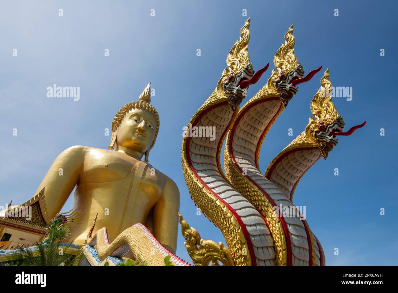 the Wat Muang in the Village of Wiset Chai Chan in the Province of Ang ...