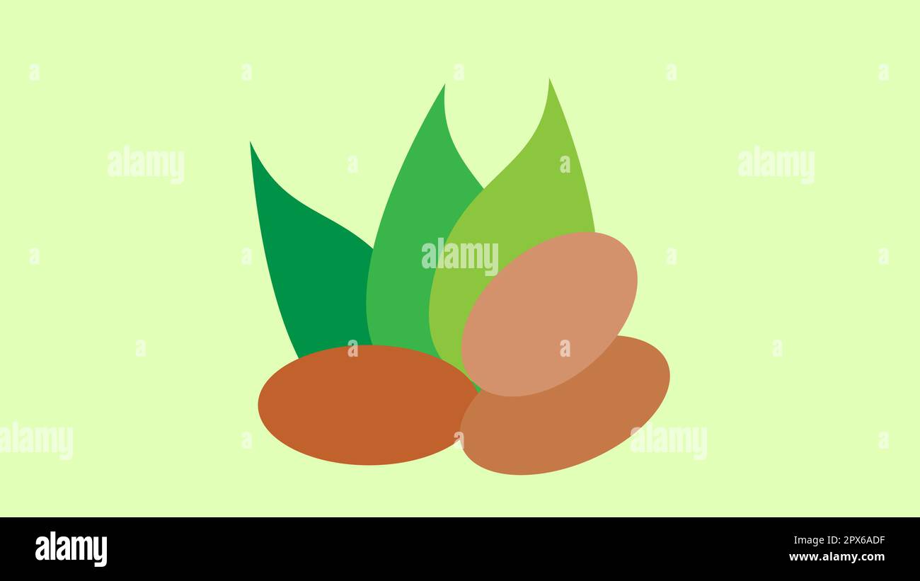 Almond Vector illustration. Raw nuts in cartoon flat style Stock Vector ...