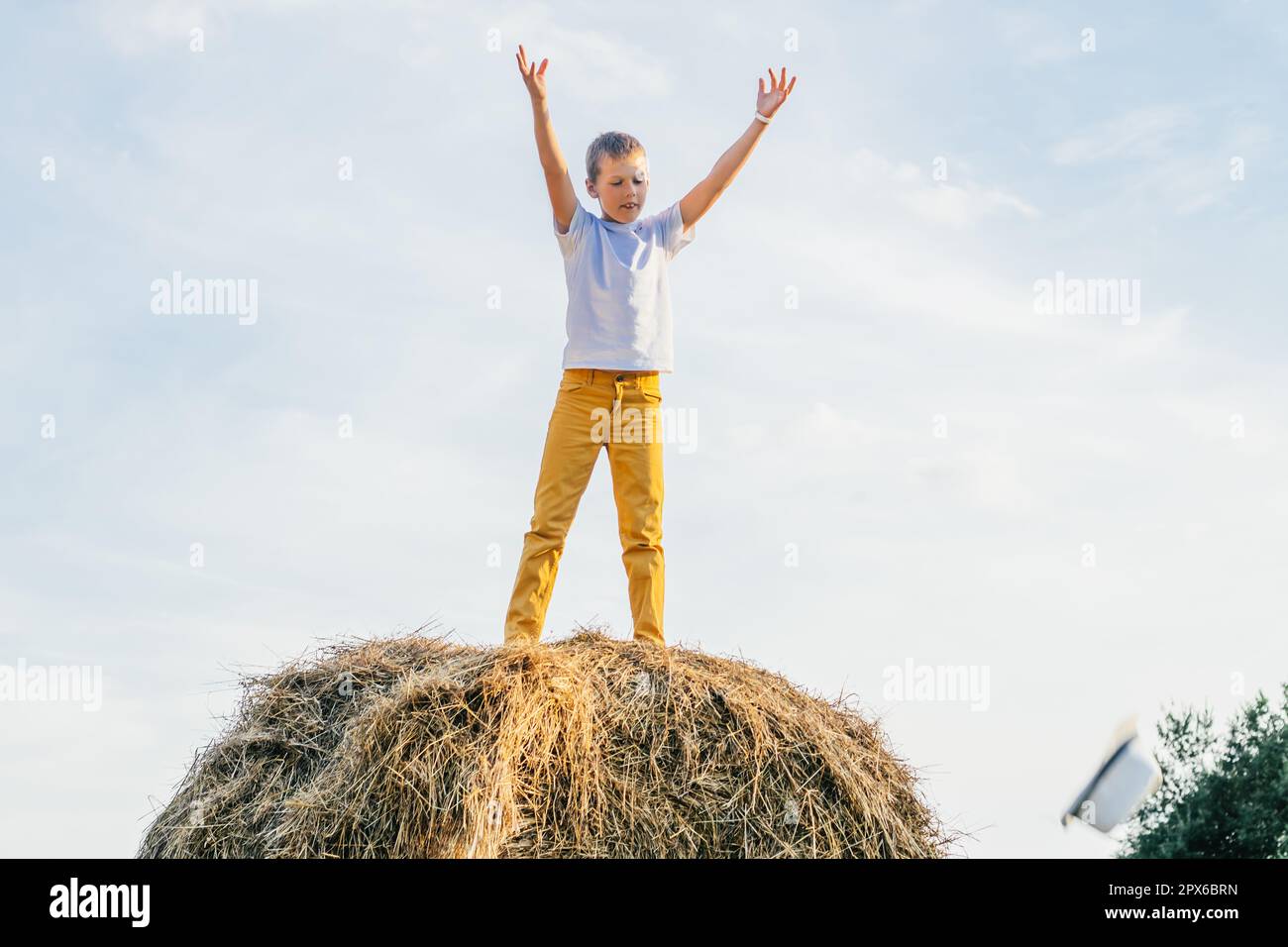 Happy school aged boy joyfully stand at top of haystack with raised ...