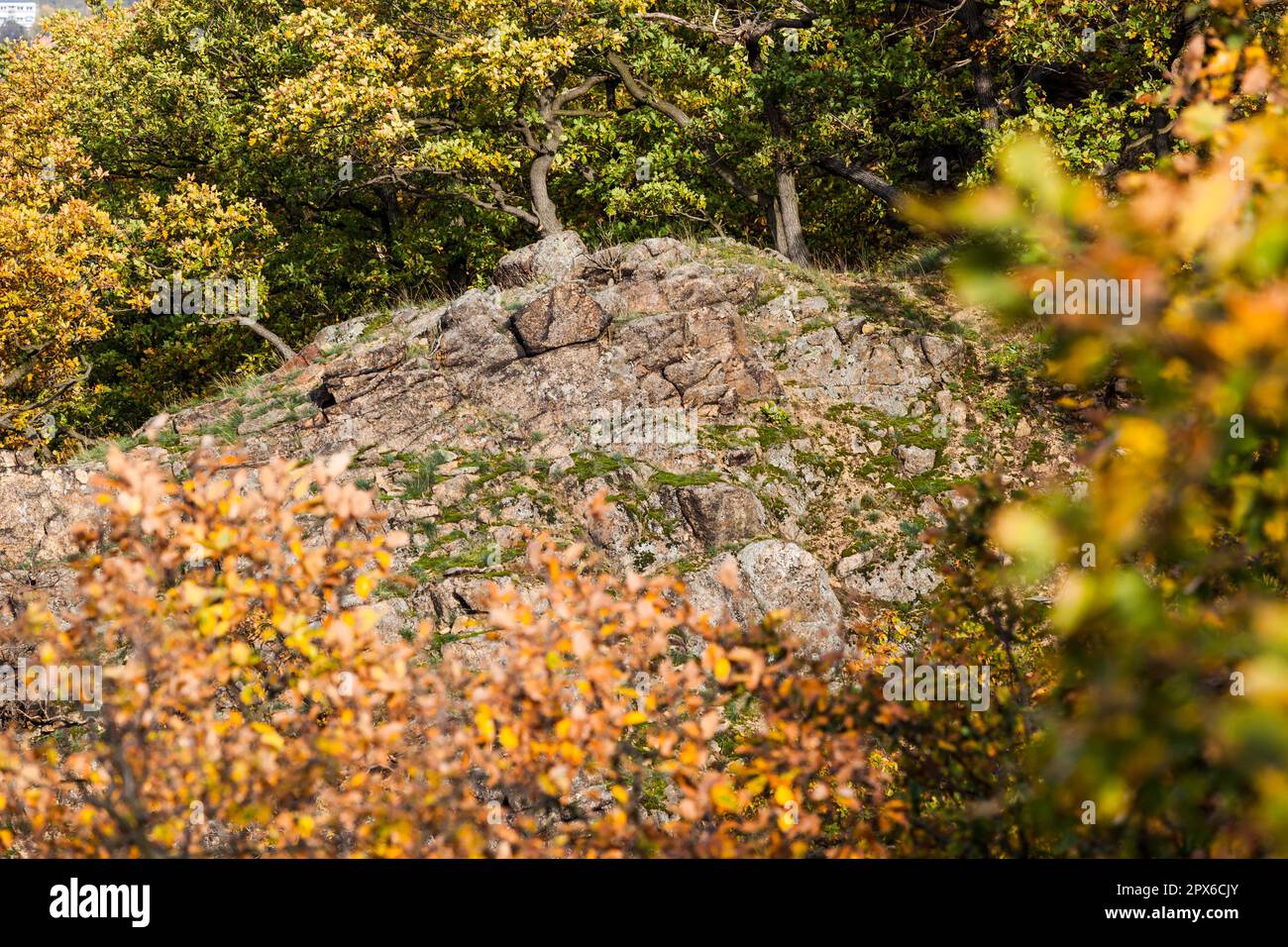 View into the bode gorge harz mountains hi-res stock photography and ...
