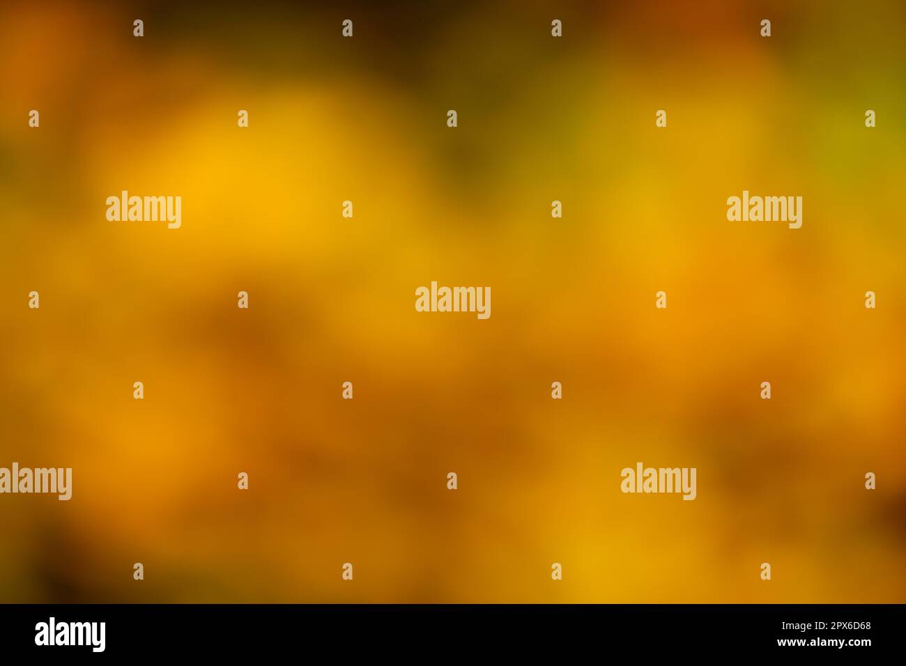 Texture Autumn Colours Background Stock Photo - Alamy