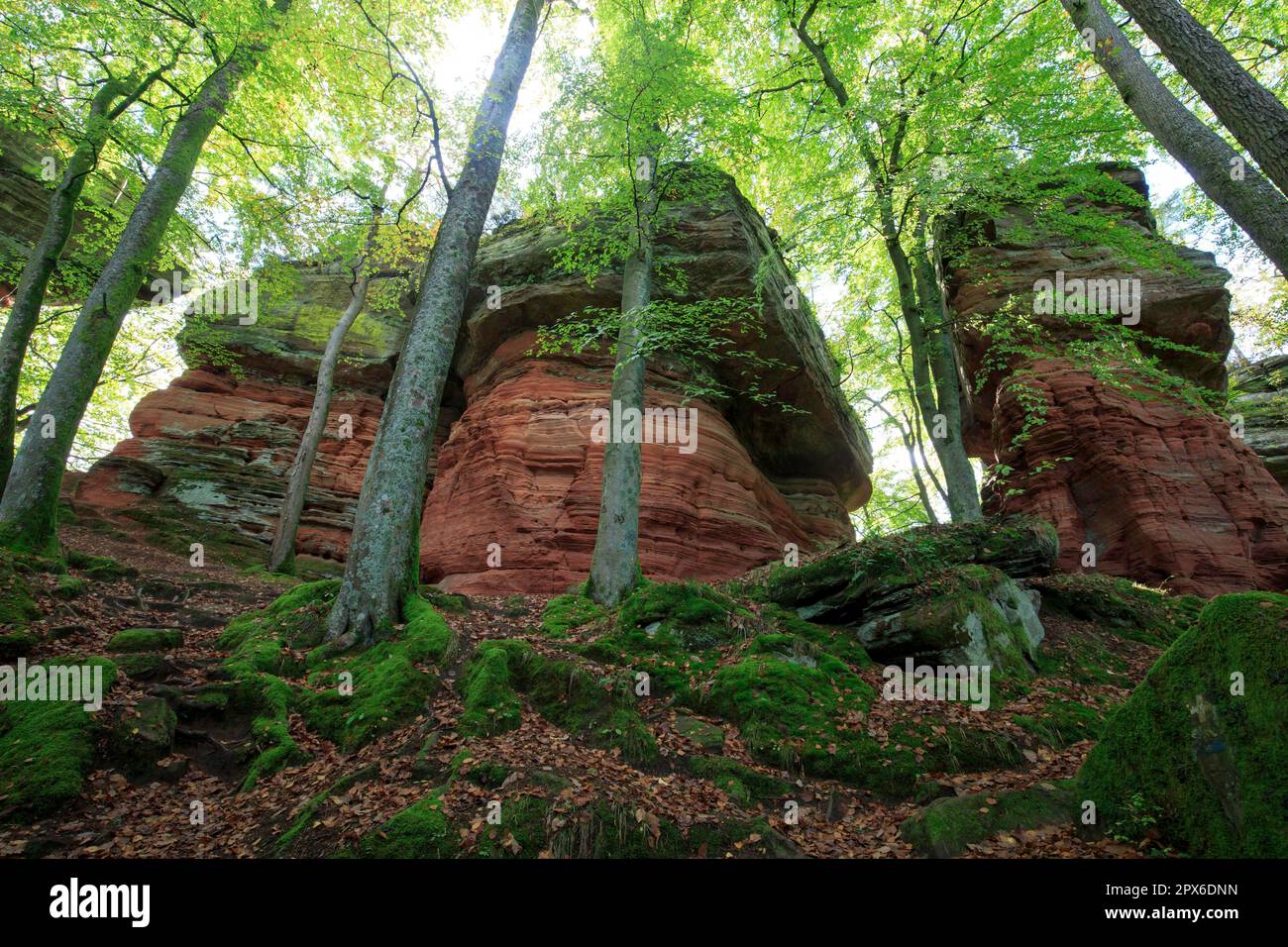 Natural monument, Altschlossfelsen, Eppenbrunn, Rhineland-Palatinate ...