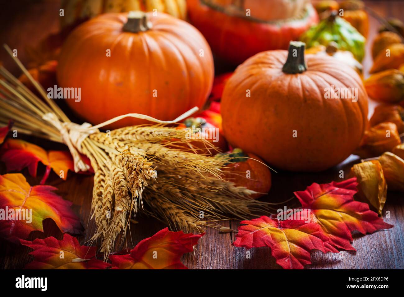 Traditional pumpkins for Thanksgiving in warm colors Stock Photo - Alamy
