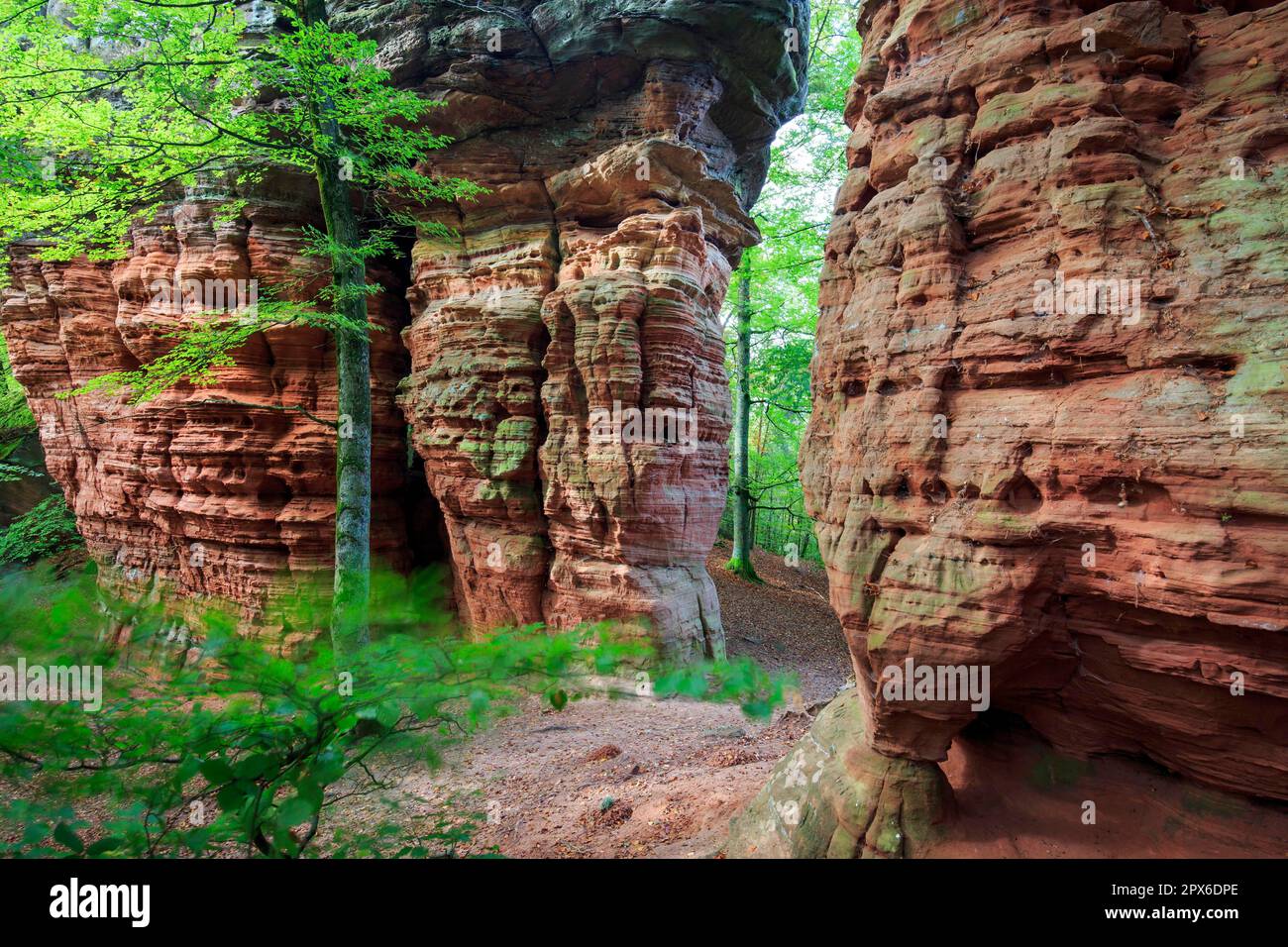 Natural monument, Altschlossfelsen, Eppenbrunn, Rhineland-Palatinate ...