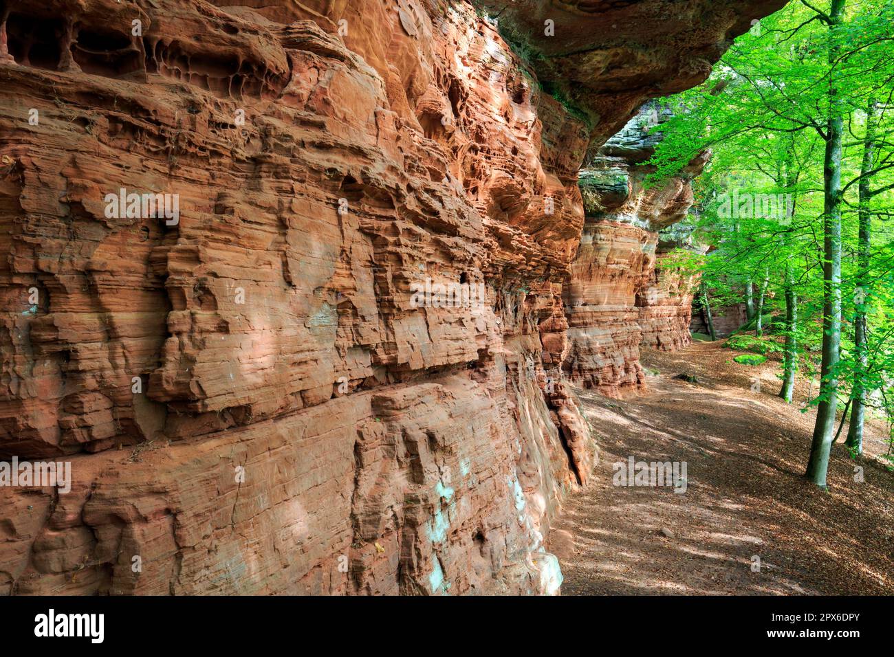 Natural monument, Altschlossfelsen, Eppenbrunn, Rhineland-Palatinate ...