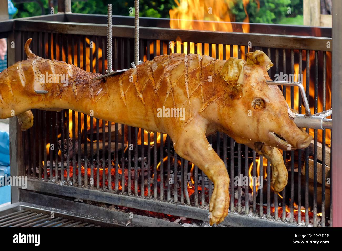 Spit roasted suckling pig on a market stall in Bergamo Stock Photo - Alamy