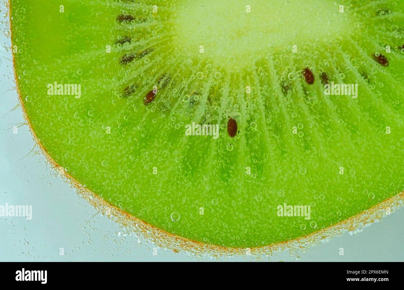 Close-up of fresh kiwi fruit slice on light background. Slice of ripe ...