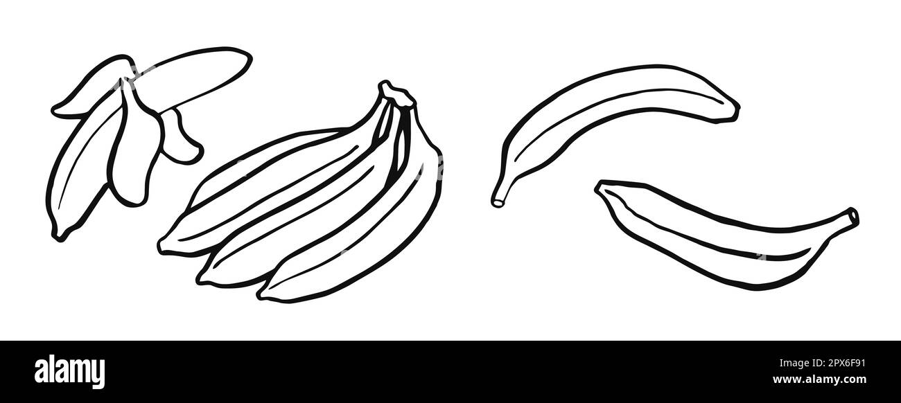 bananas line art, hand draw sketch, black and white illustration of ...
