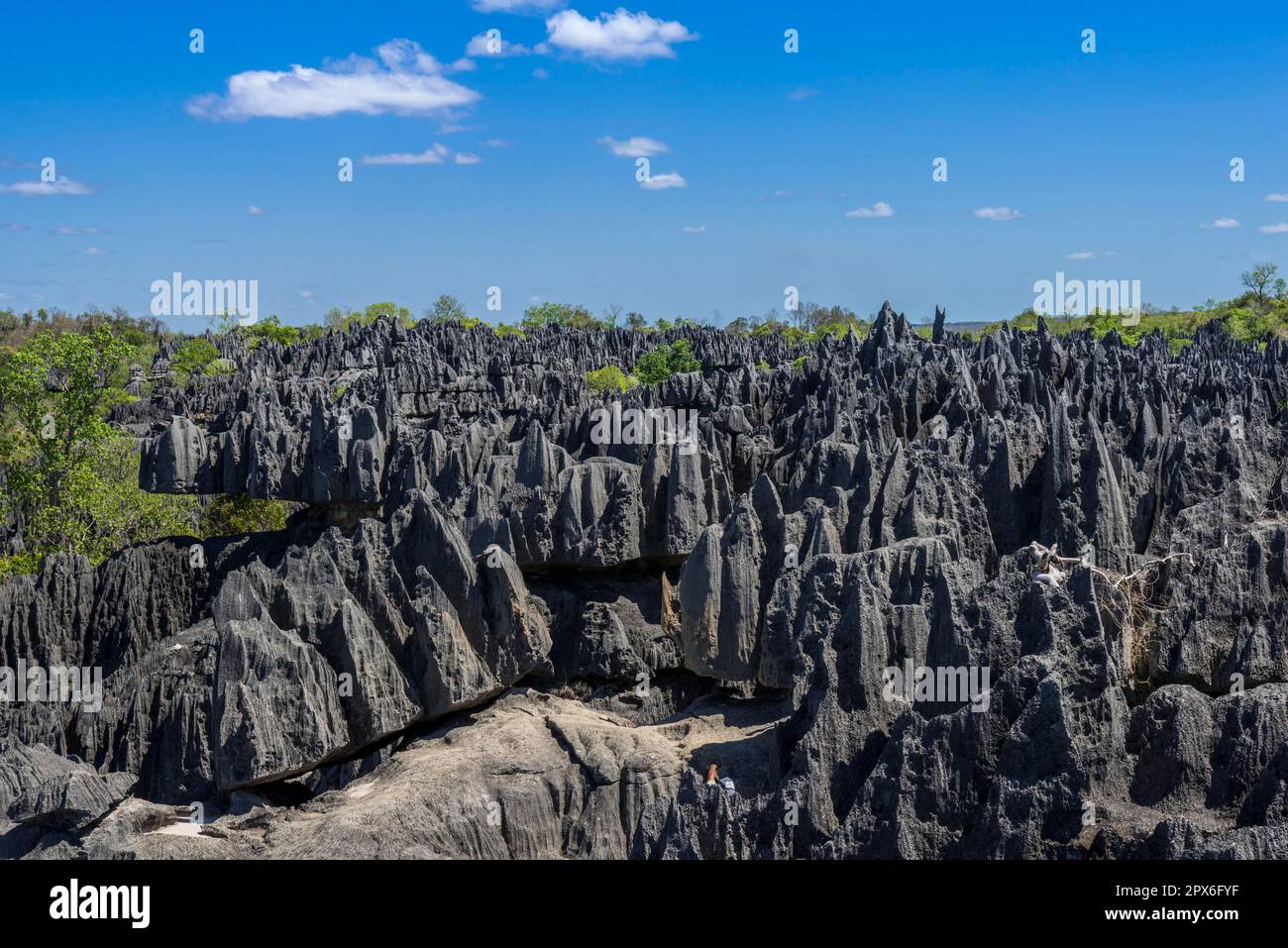 Karst landscape, Tsingy du Bemaraha National Park, Unesco World ...