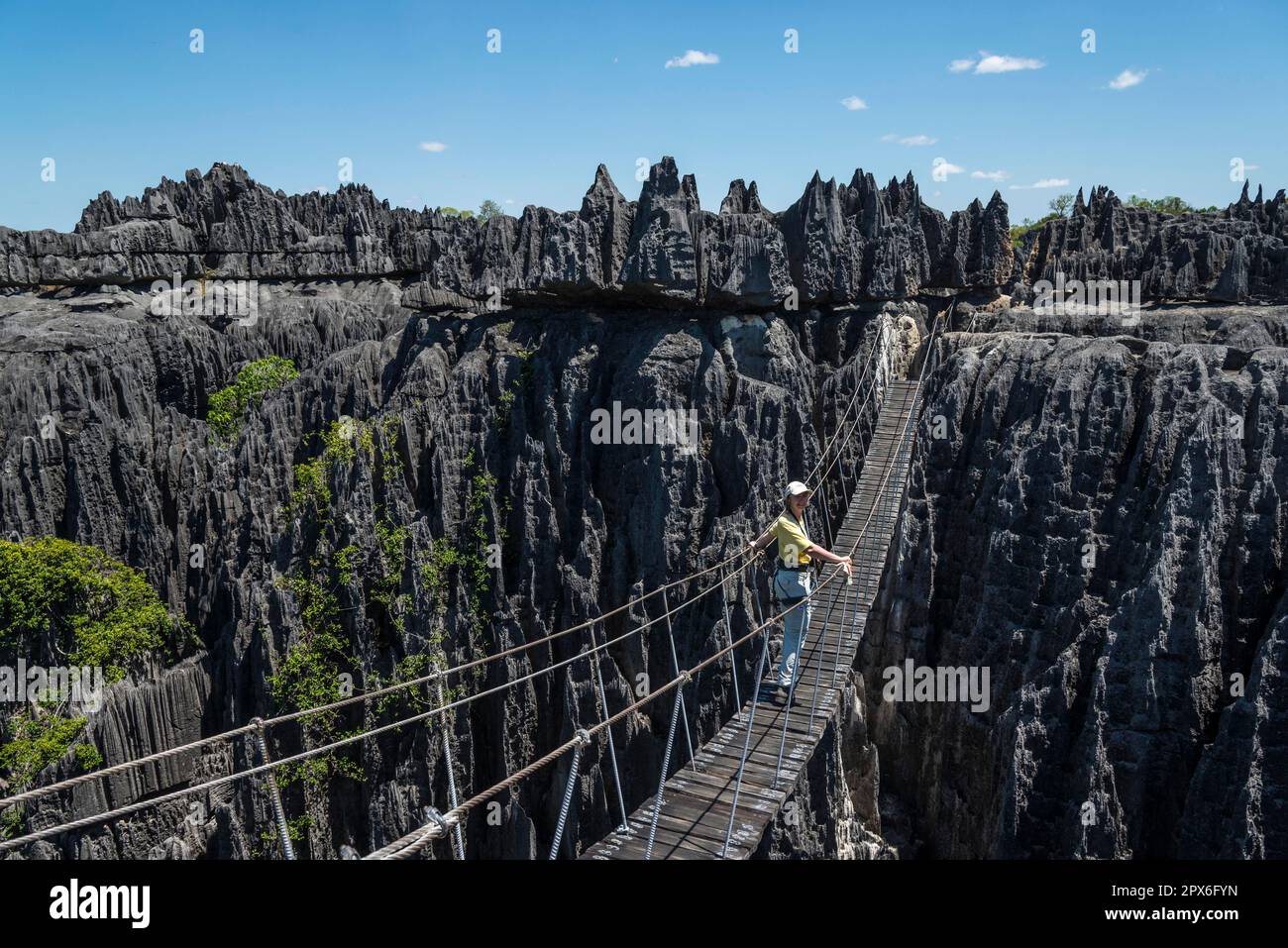 Suspension bridge over gorge, karst landscape, Tsingy du Bemaraha ...