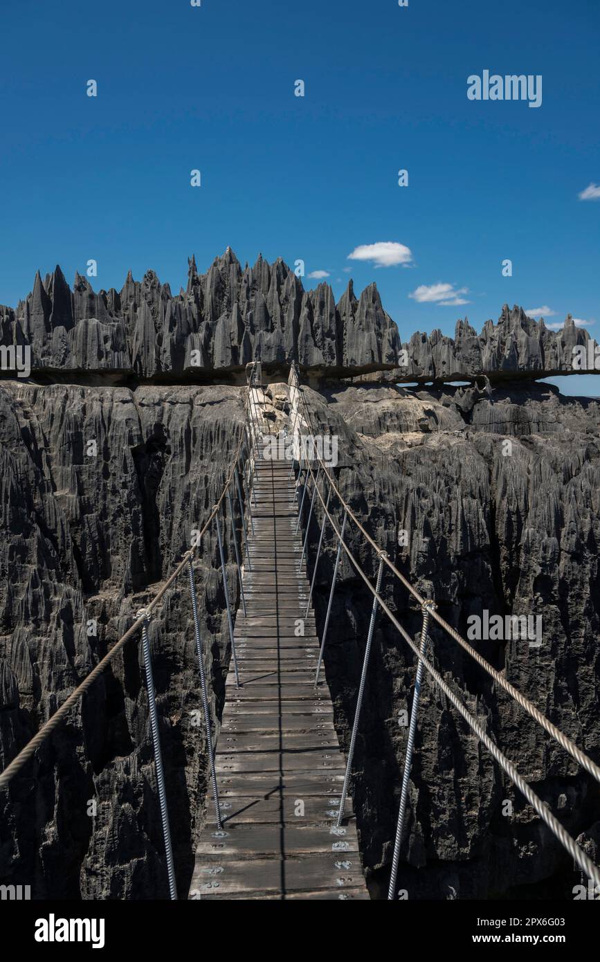 Suspension bridge over gorge, karst landscape, Tsingy du Bemaraha ...