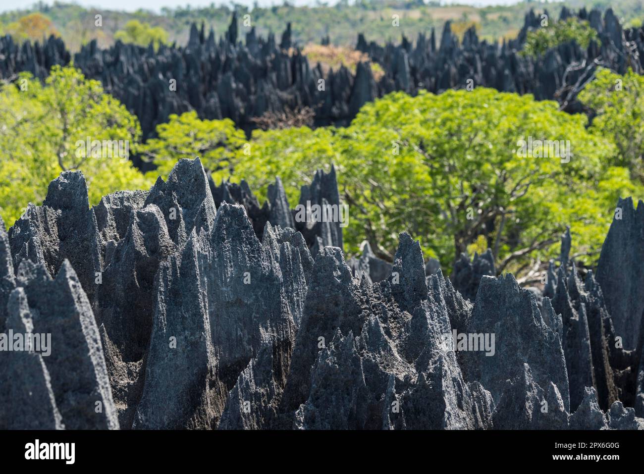 Karst landscape, Tsingy du Bemaraha National Park, Unesco World ...