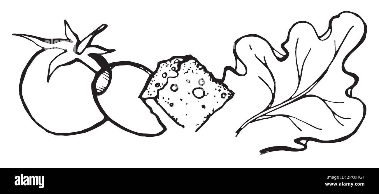 appetizer, salad, olive, cheese, hand draw sketch, black and white ...