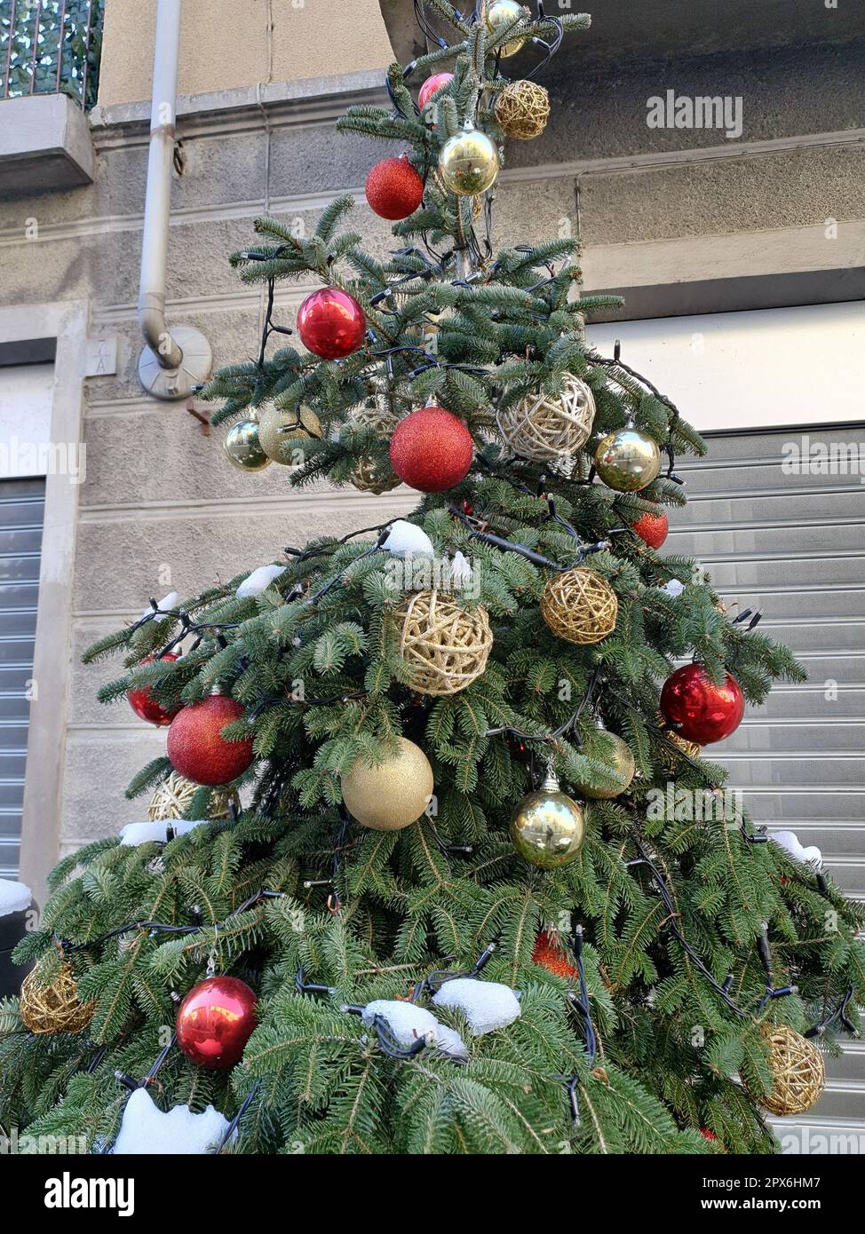 Christmas tree in the street in the city centre Stock Photo - Alamy