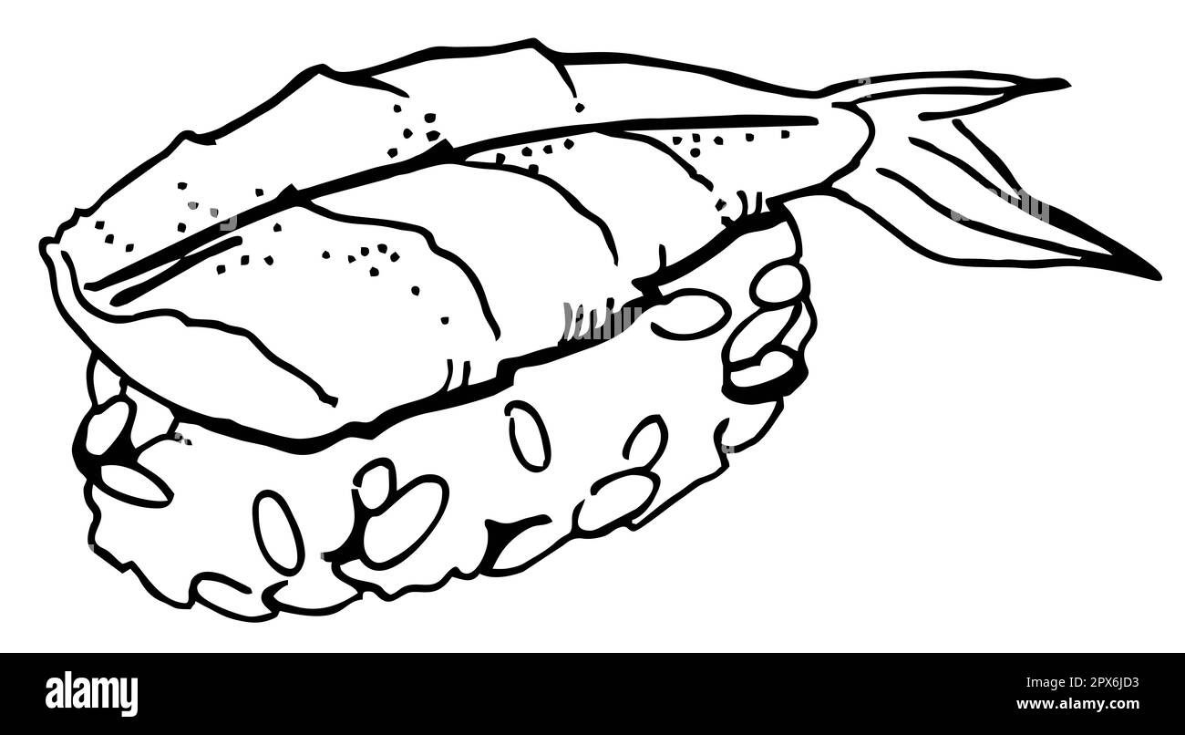 hand draw line art vector illustration sketch japanese food sushi rice ...