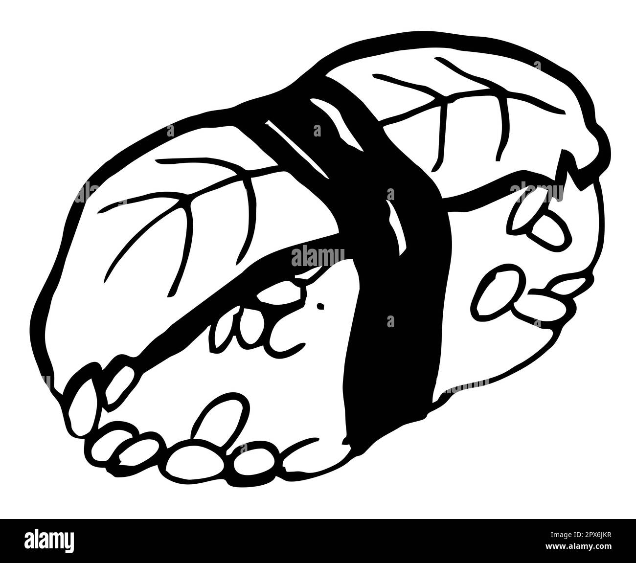 hand draw line art vector illustration japanese food sushi rice Stock ...