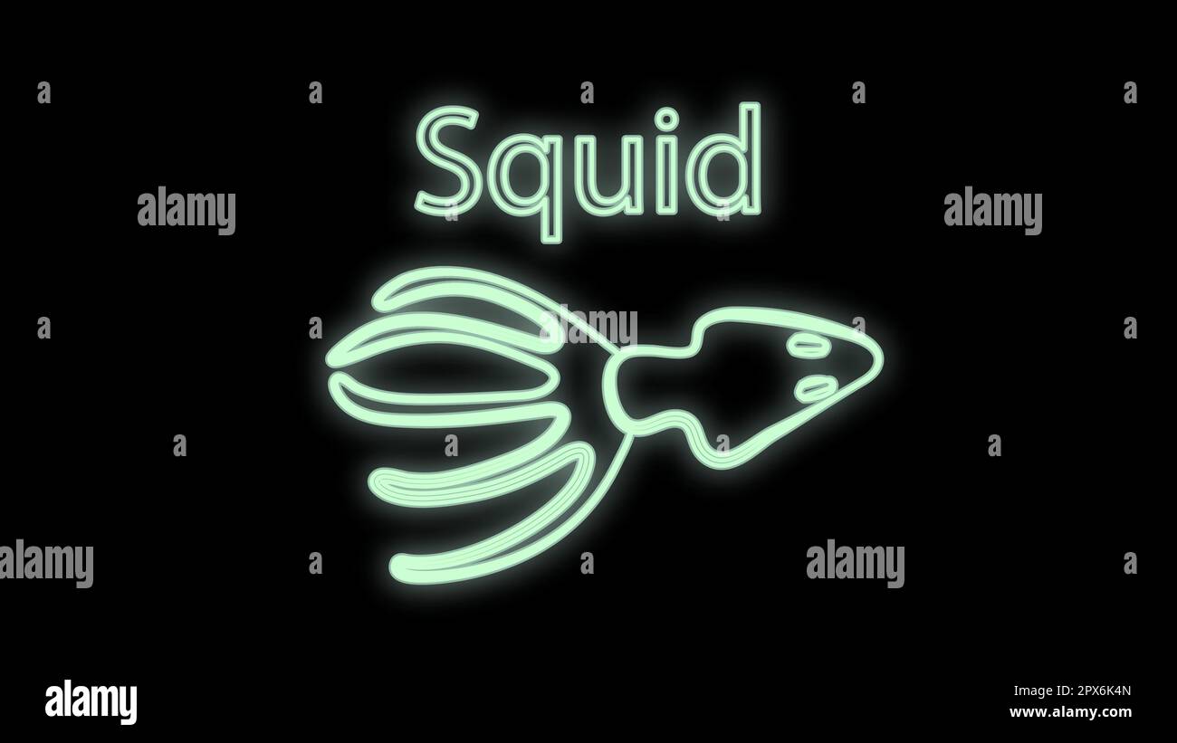 squid on a black background, vector illustration, neon. white squid ...