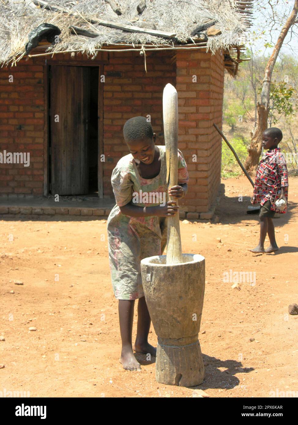 Manioc roots are crushed Stock Photo - Alamy