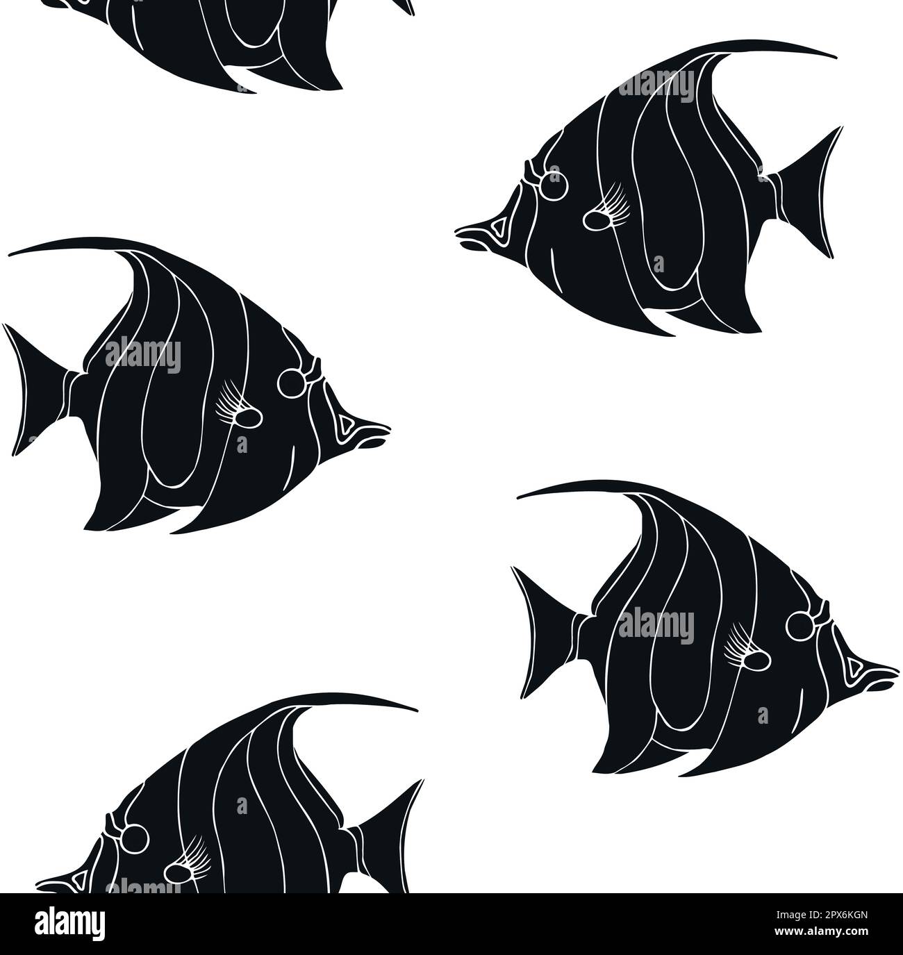 Angel fish texture Black and White Stock Photos & Images - Alamy