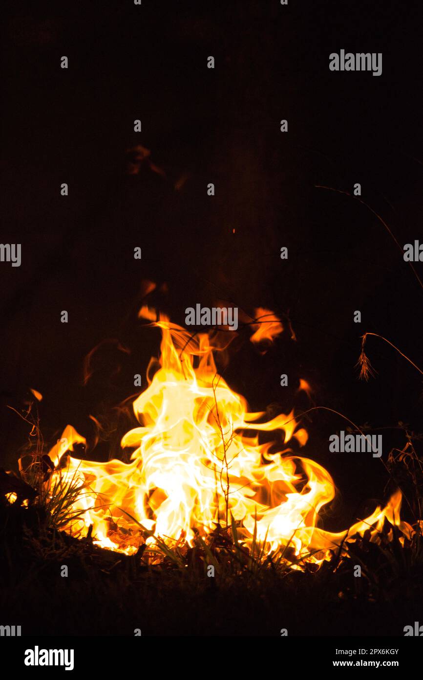 Mesmerizing Flames of a Brush Fire Stock Photo - Alamy