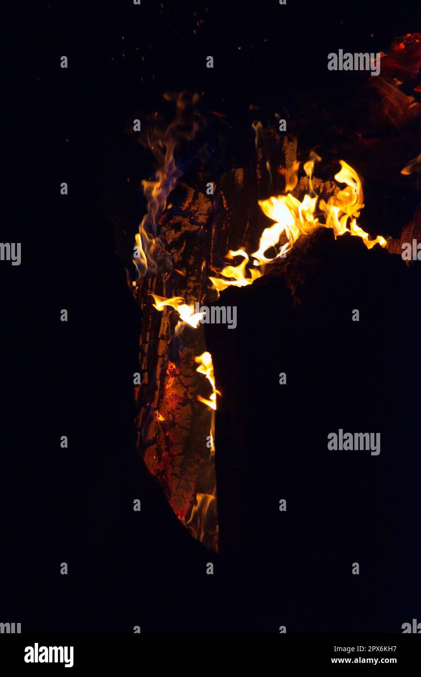 Tree Burning From Within Stock Photo - Alamy