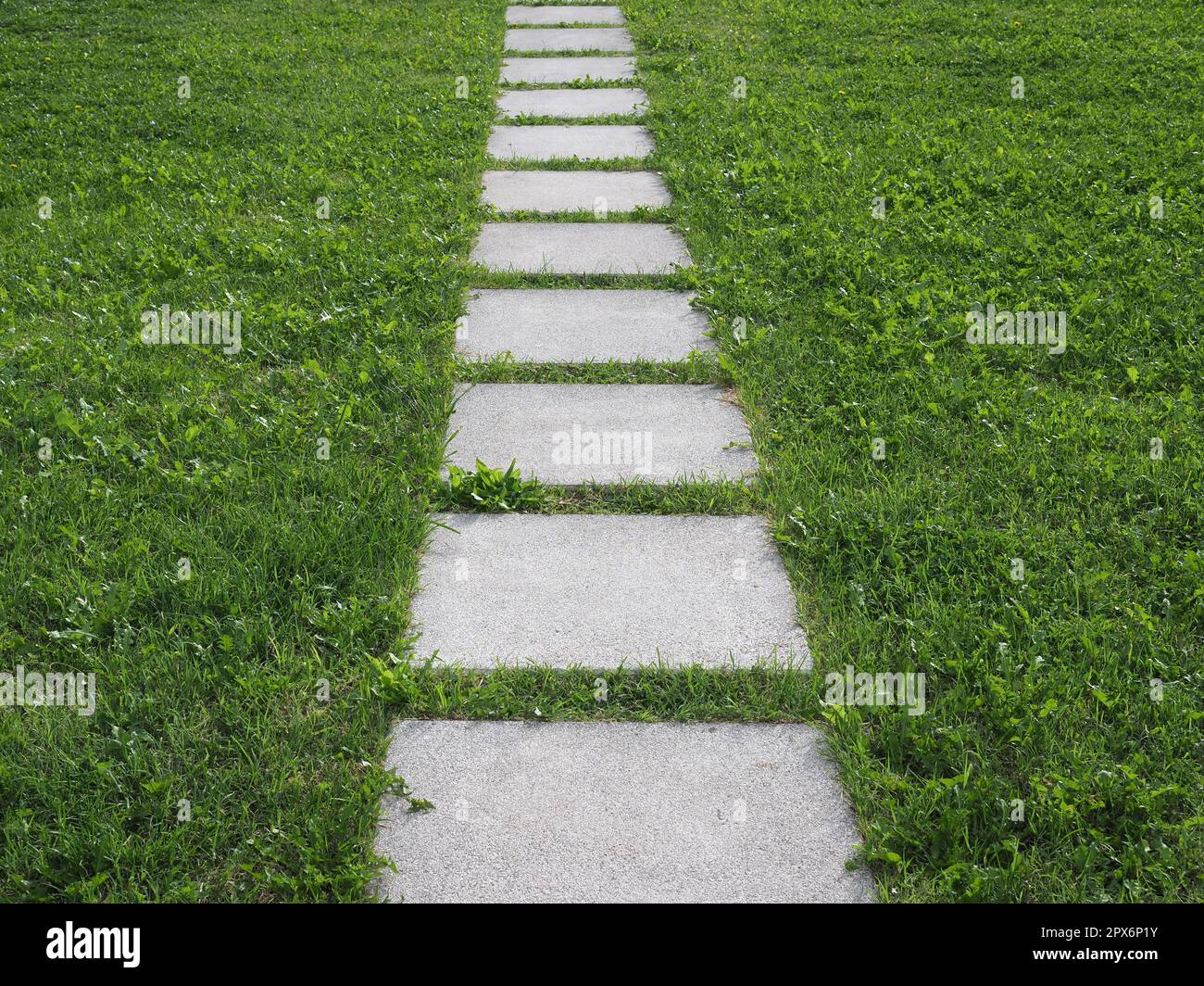 grey concrete tiles path in the grass Stock Photo - Alamy