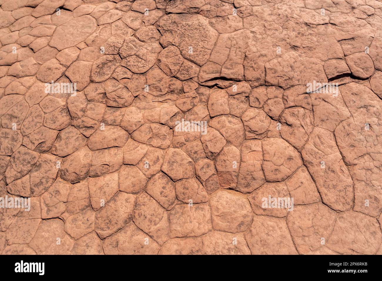 Naka cave giant snake scale stone. in the Phu Langka national park ...
