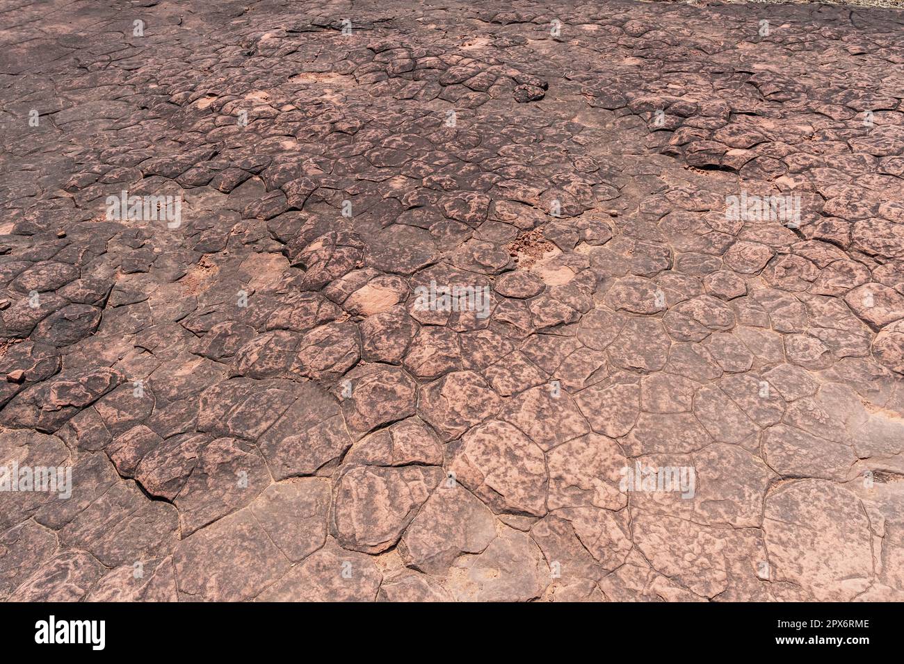Naka cave giant snake scale stone. in the Phu Langka national park ...