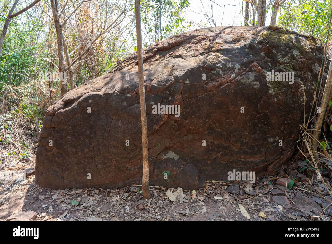 Naka cave giant snake scale stone. in the Phu Langka national park ...