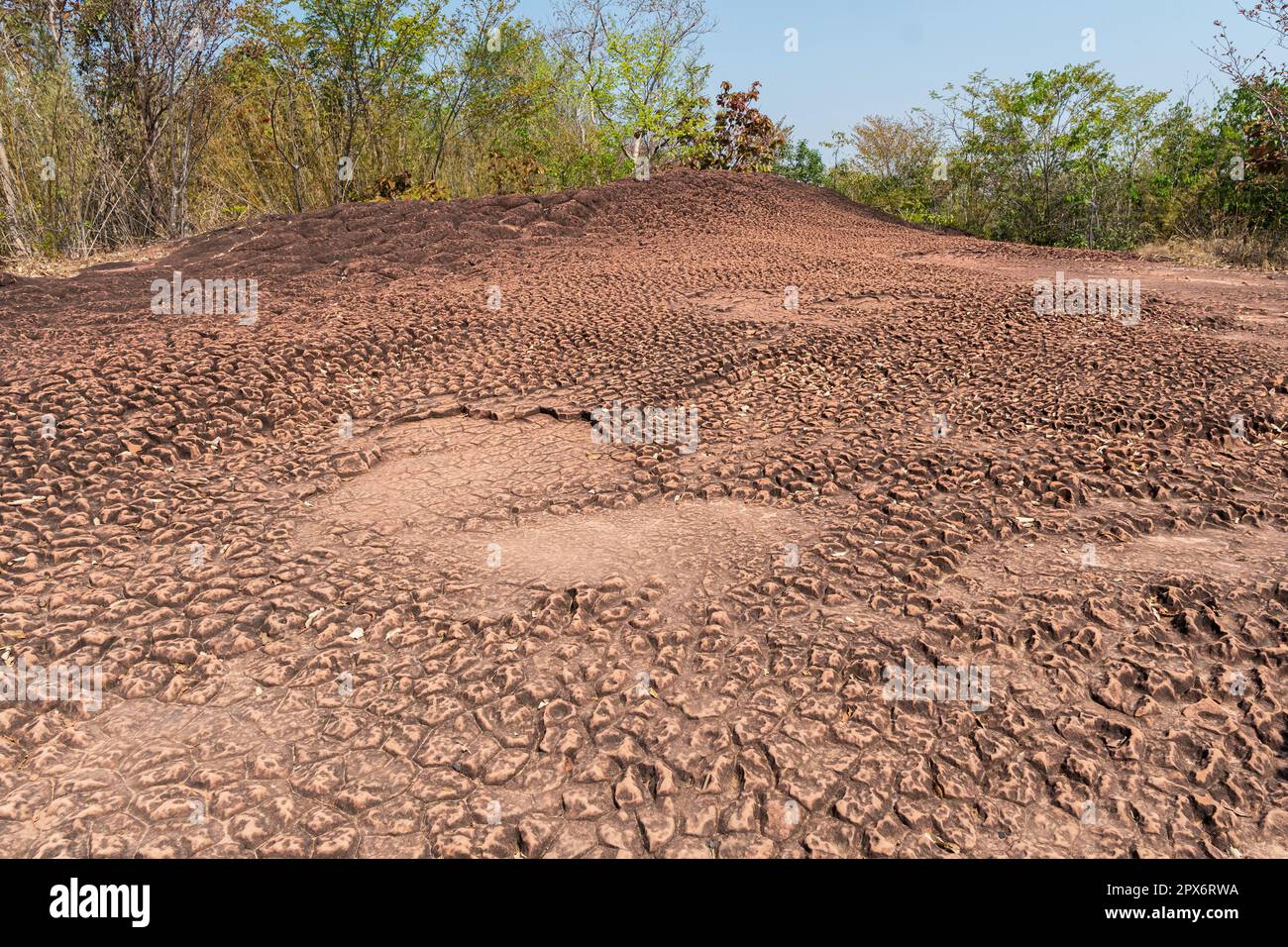 Naka Cave Thailand.Giant Snake Scale Stone. located in the Phu Langka ...