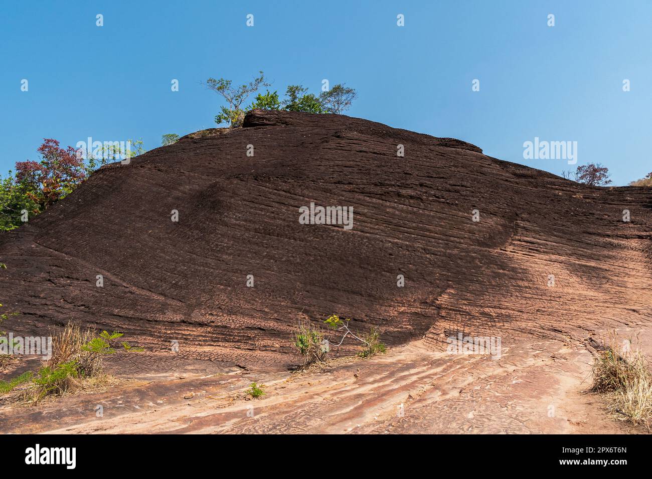 Naka Cave Thailand.Giant Snake Scale Stone. located in the Phu Langka ...