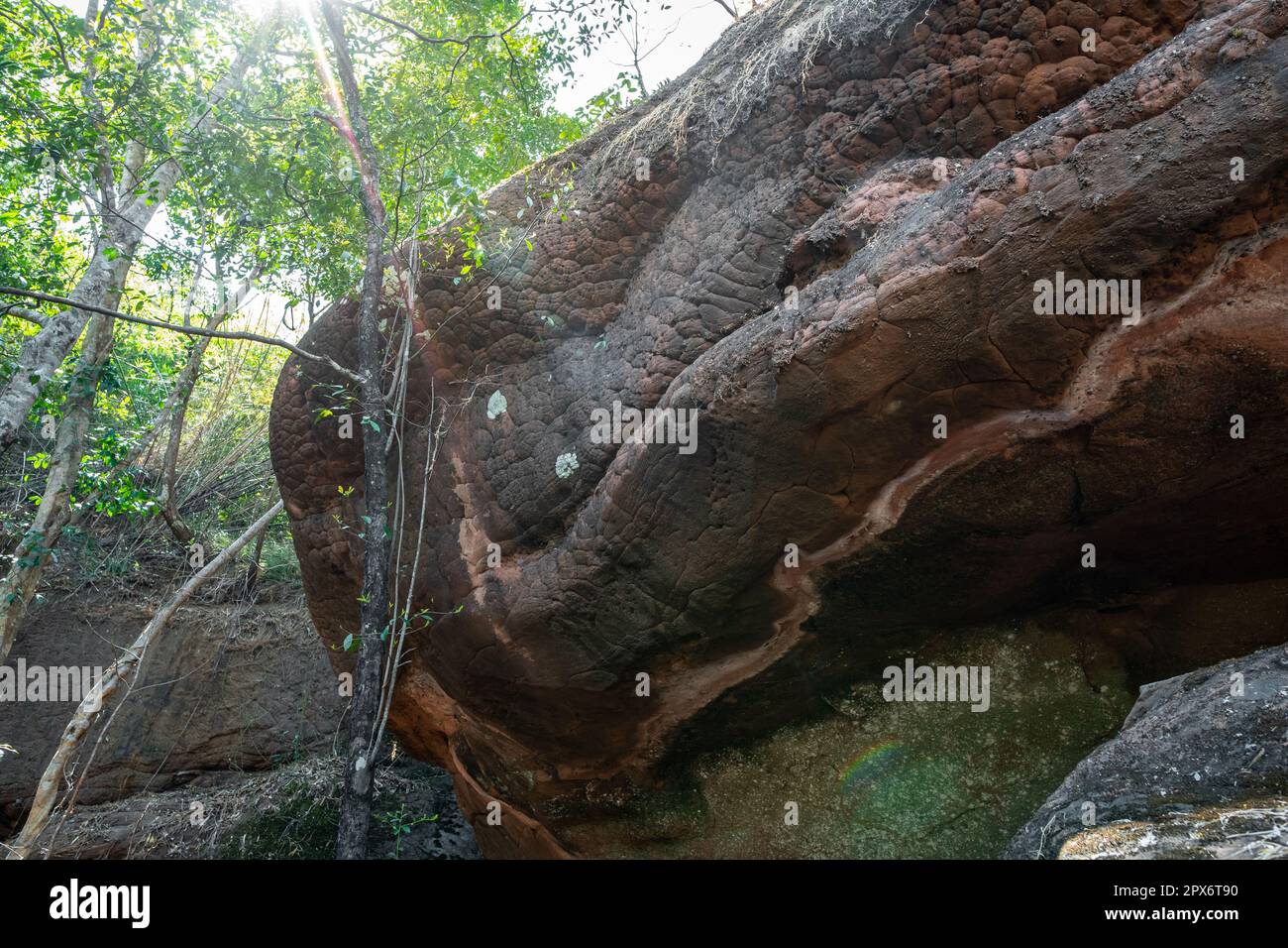 Naka cave giant snake scale stone. in the Phu Langka national park ...
