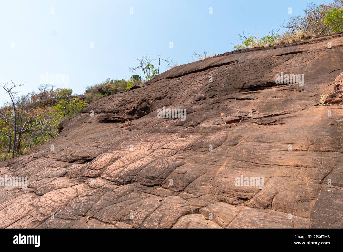 Naka cave giant snake scale stone. in the Phu Langka national park ...