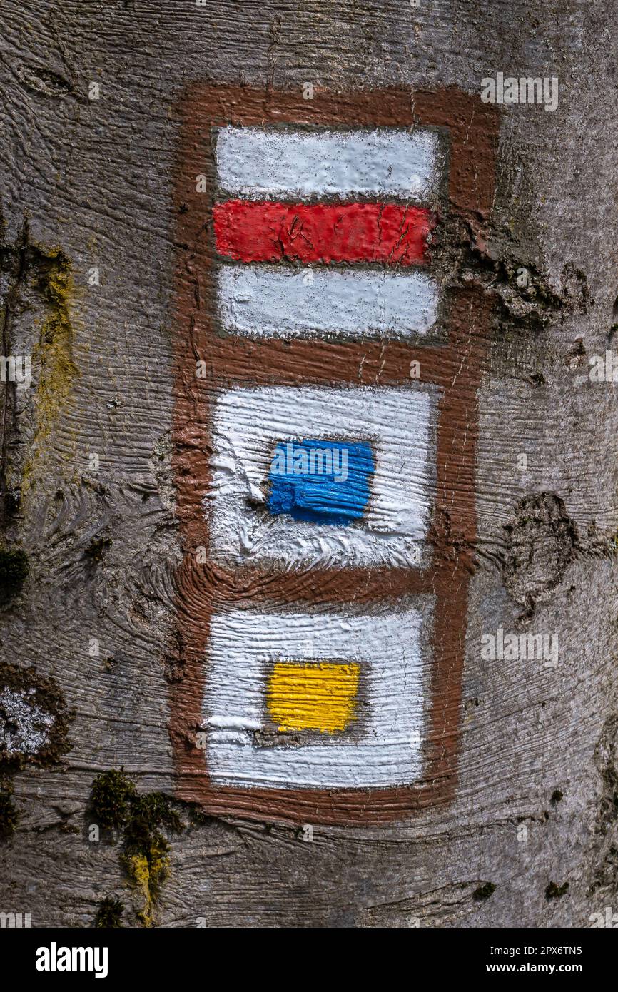 Tourist sign on tree bark. Marking of tourist routes Stock Photo - Alamy