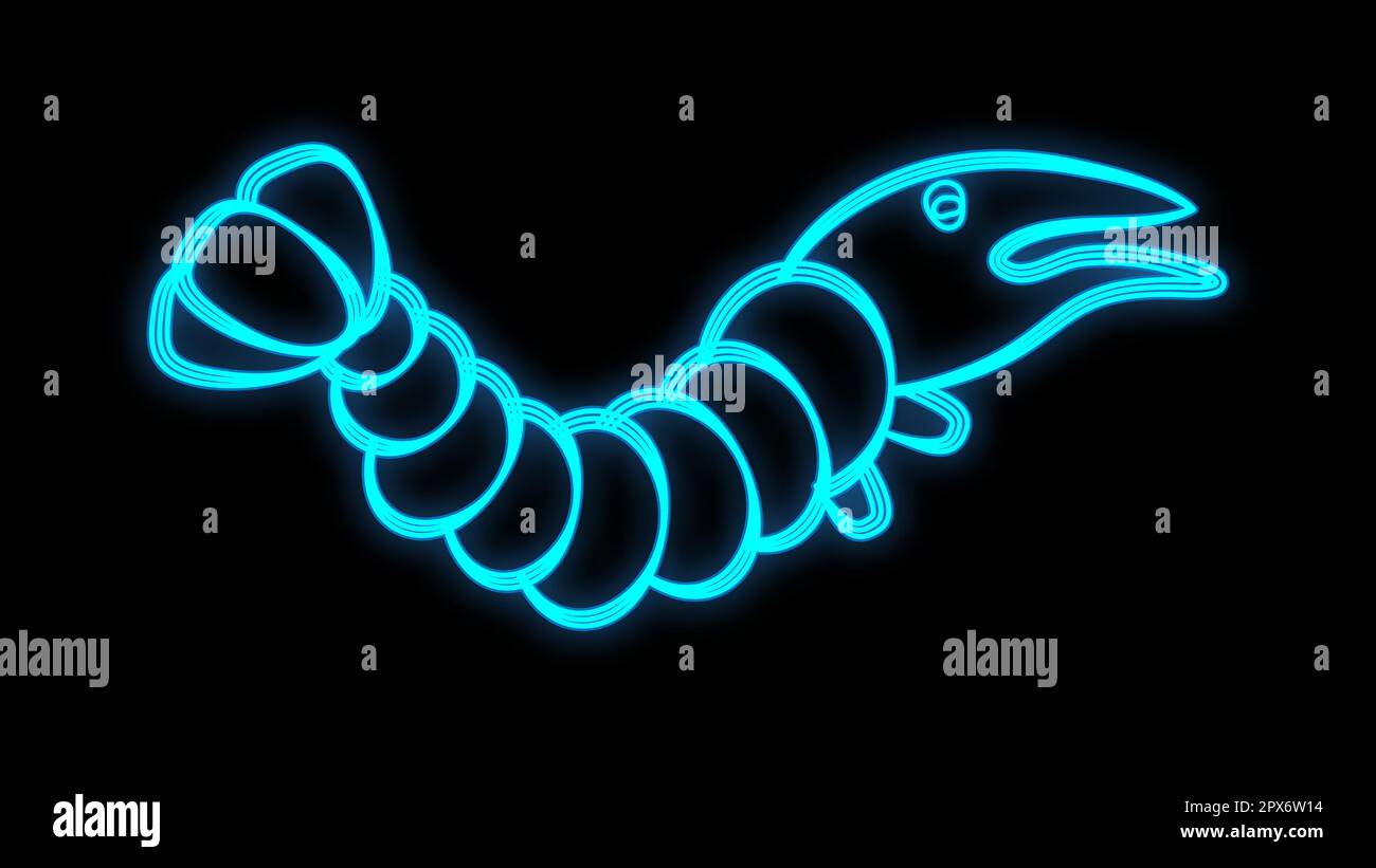 Shrimp Neon Light Glowing Vector Illustration Graphic Sign Bright with ...