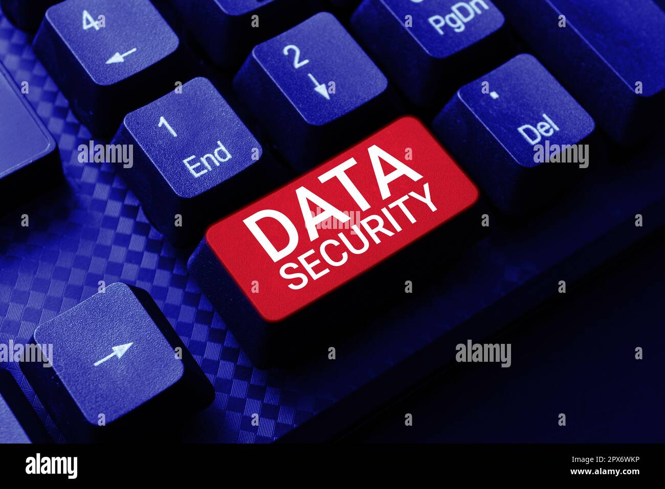 Text caption presenting Data Security, Internet Concept Confidentiality Disk Encryption Backups ...