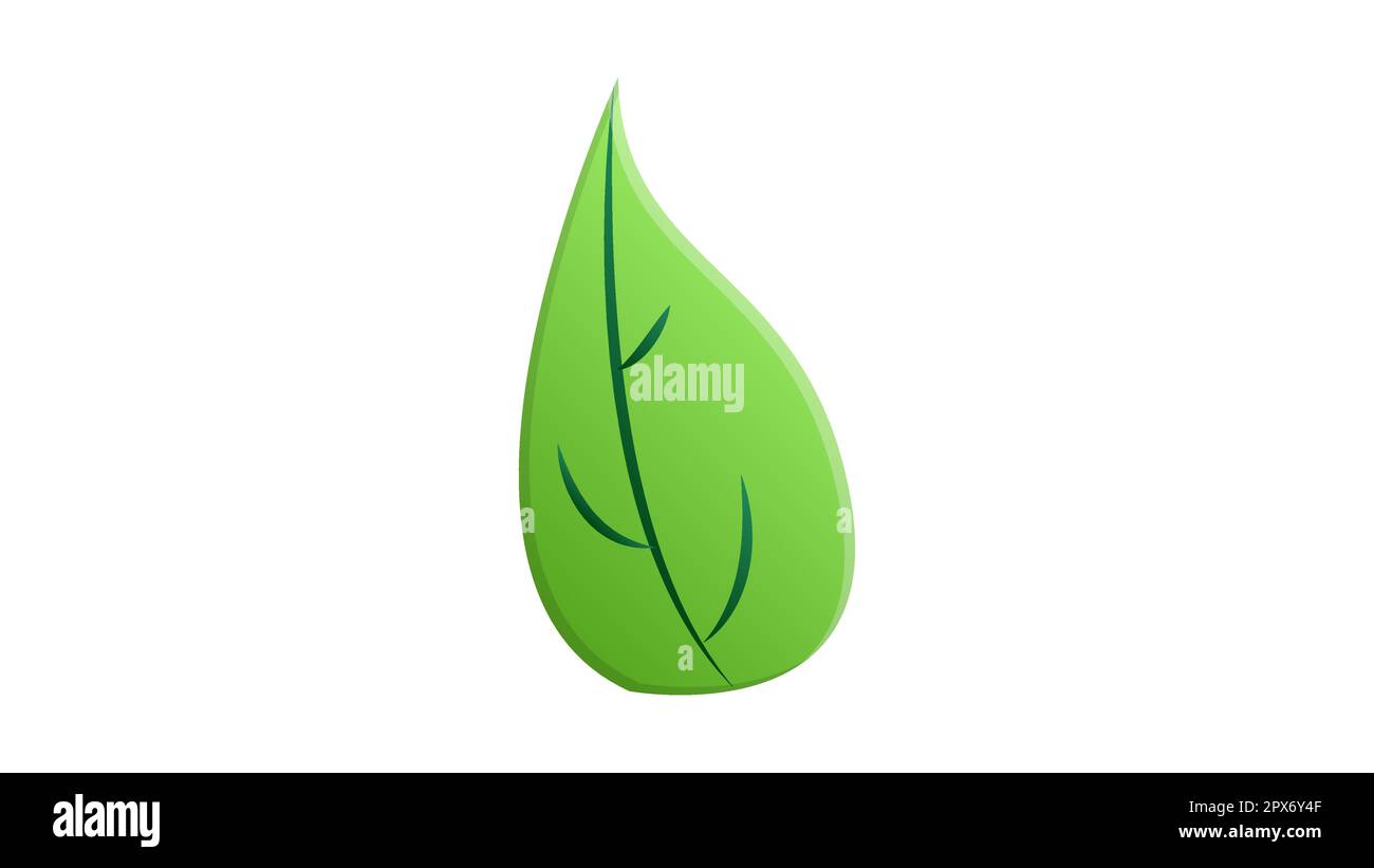 spice leaf of green color on a white background, vector illustration ...