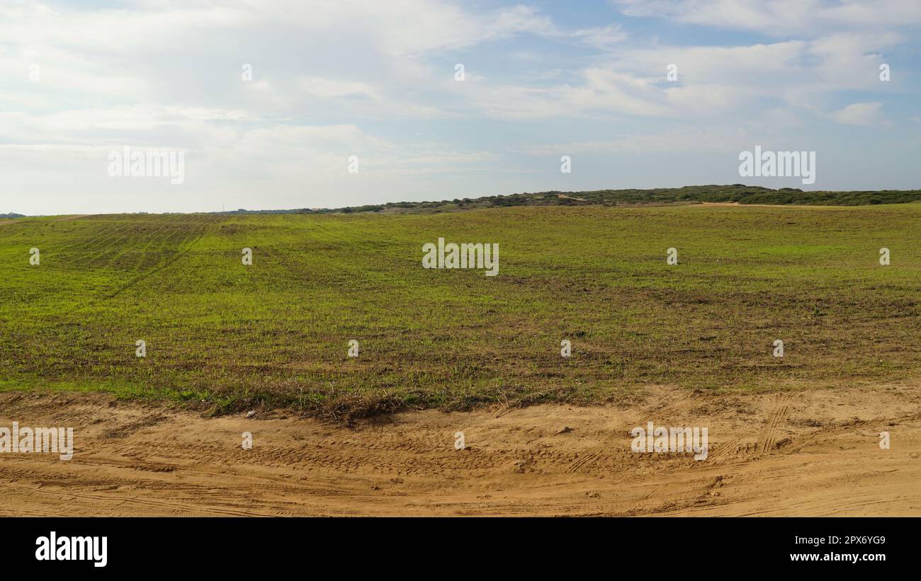 Corn field sunset child boy hi-res stock photography and images - Alamy