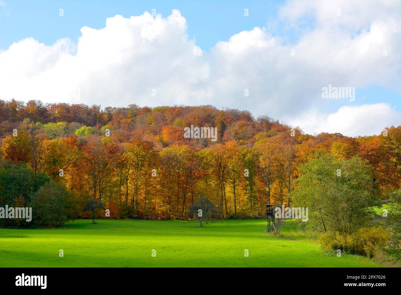 BW. Schuetzingen, Stromberg area in Wuerttemberg in autumn, colourful ...