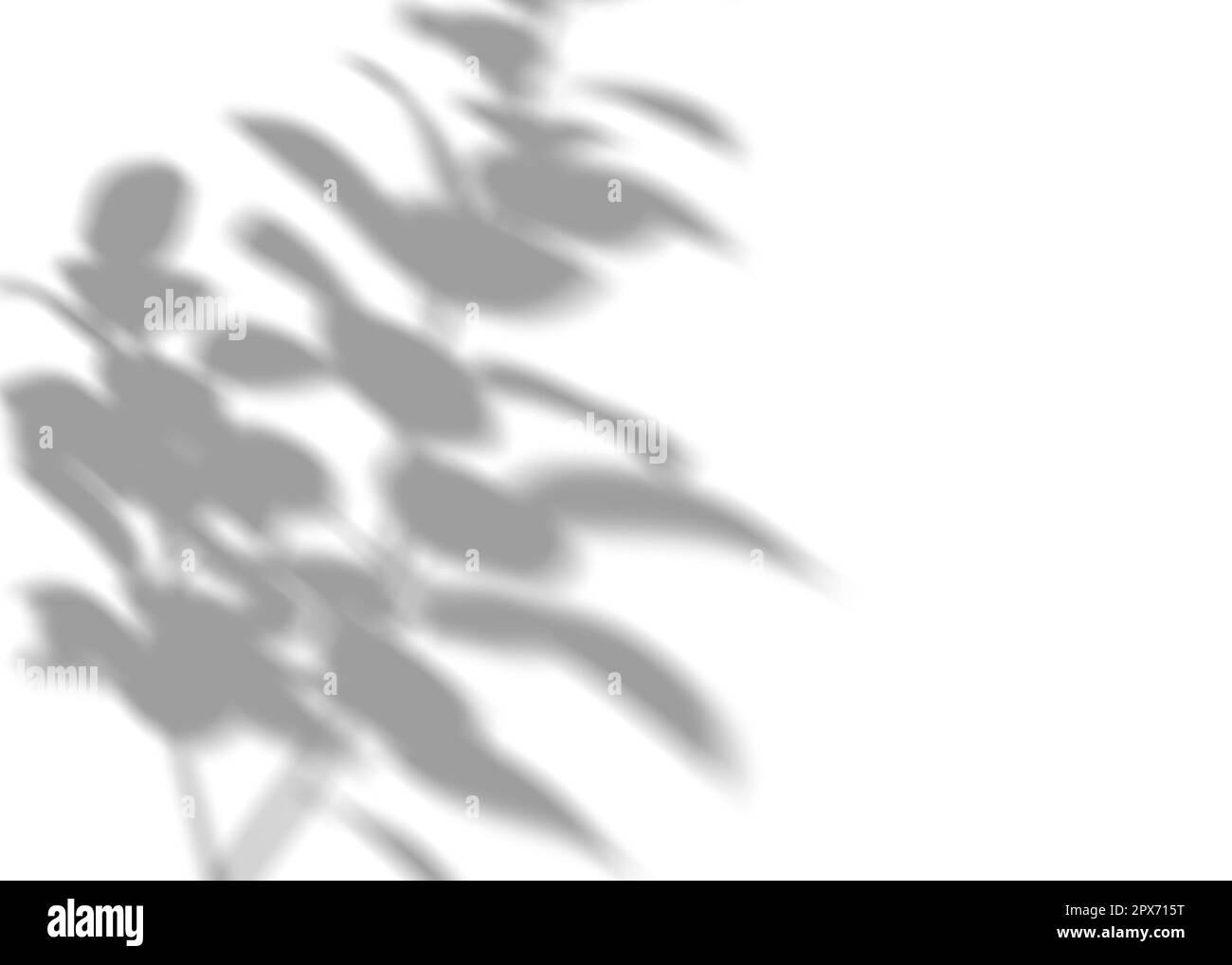 Shadow from plants, leaves, overlay effect. Realistic gray shadow on ... Shadow from plants, leaves, overlay effect. Realistic gray shadow on ...
