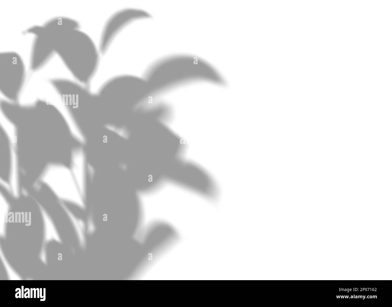 Shadow from plants, leaves, overlay effect. Realistic gray shadow on ... Shadow from plants, leaves, overlay effect. Realistic gray shadow on ...