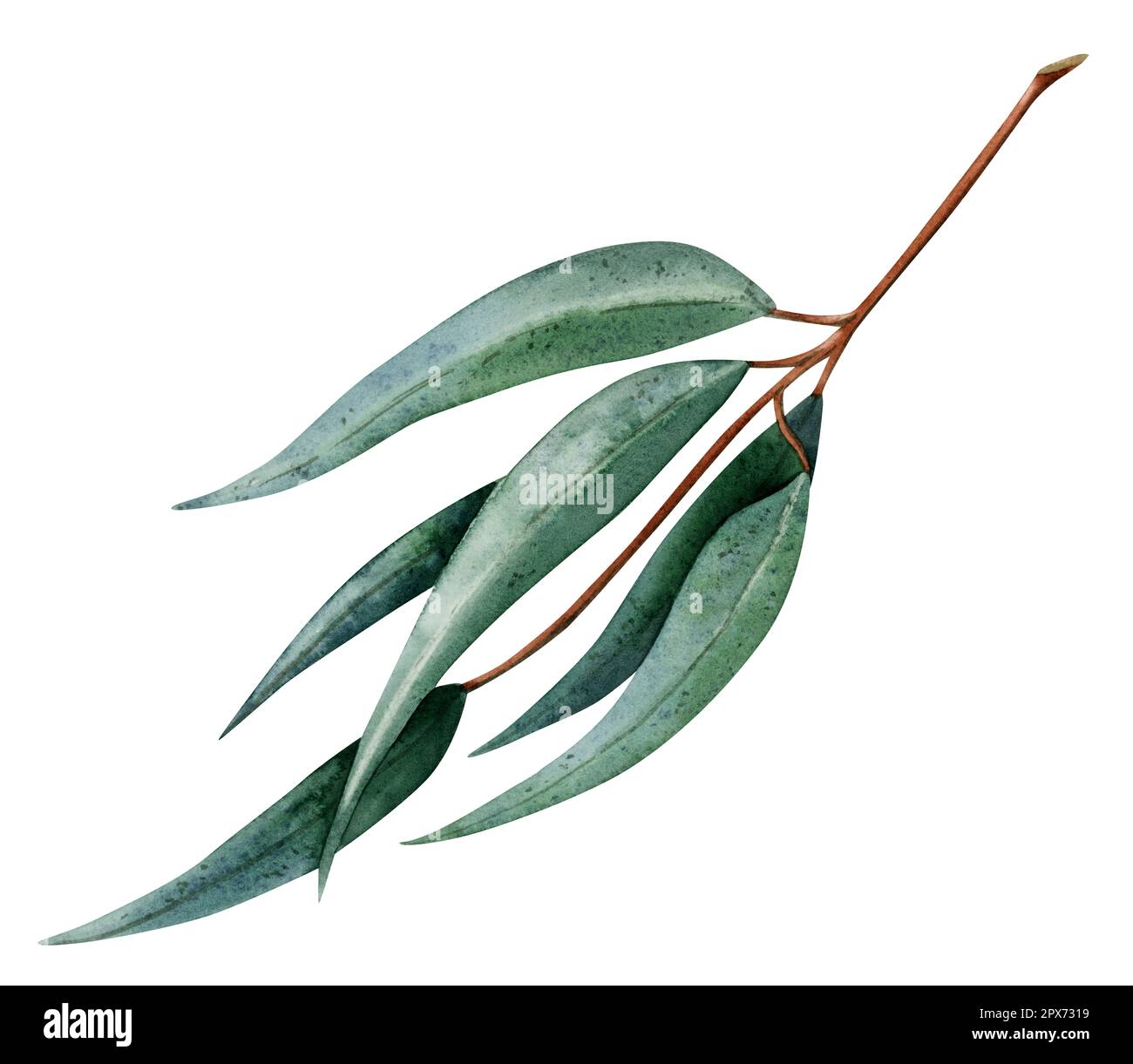 Art clipart australian hi-res stock photography and images - Alamy