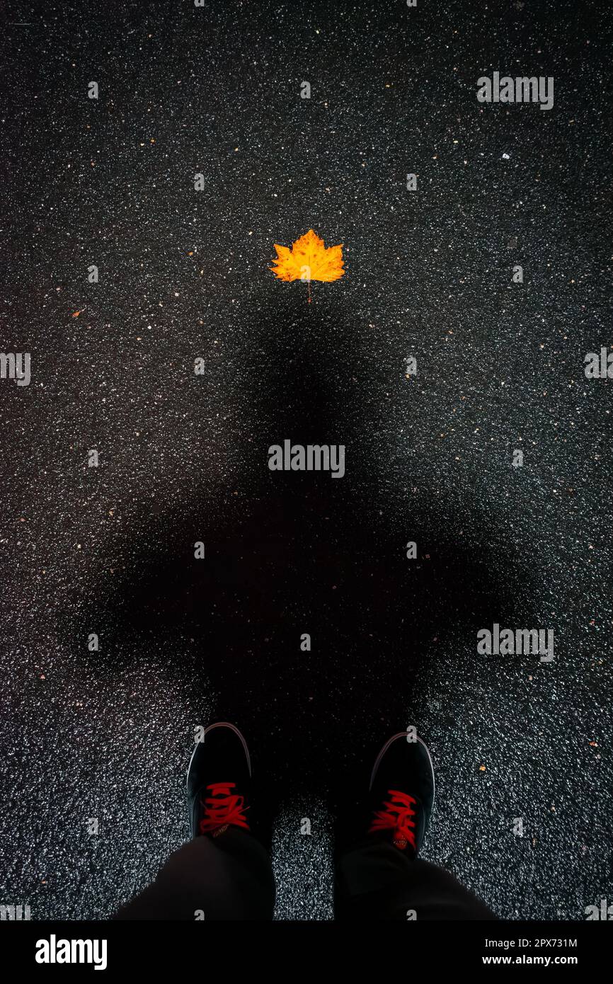 Person casting a shadow on asphalt with a fallen leaf depicting a crown ...