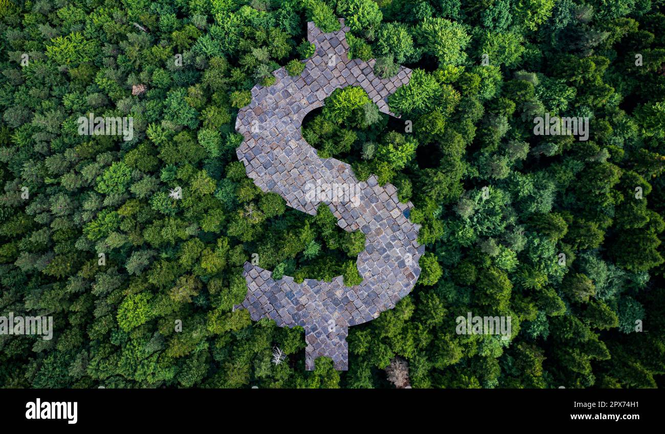 Dollar sign on top view of forest. Environment protection concept Stock ...