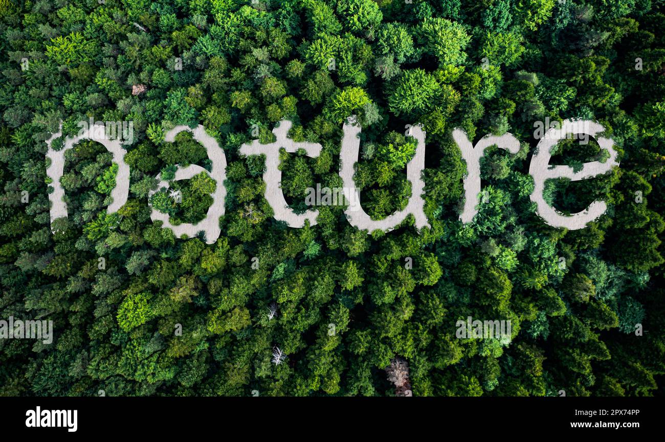 Nature inscription on top view of forest. Environment protection ...