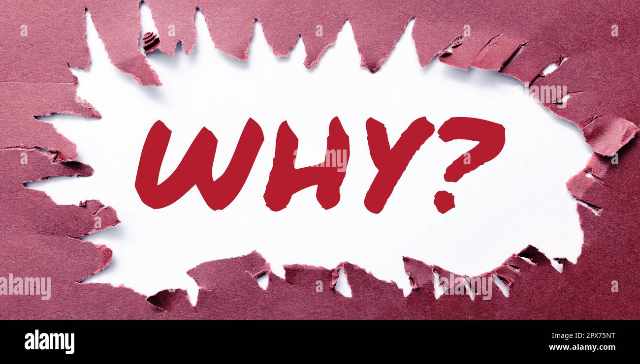 Writing displaying text Why, Business concept Asking for what reason ...