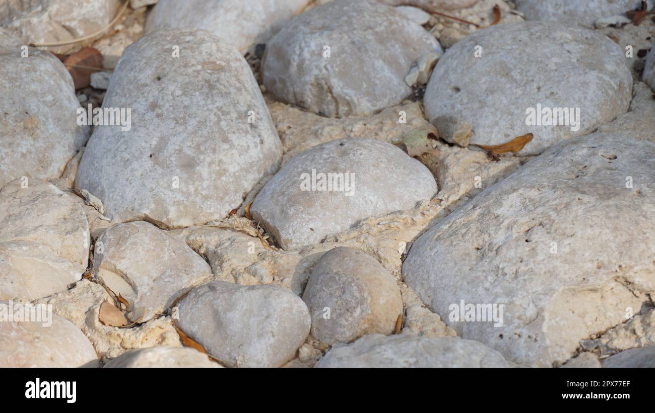 Stone pathway in the park. Stone path made from a pebble Stock Photo ...