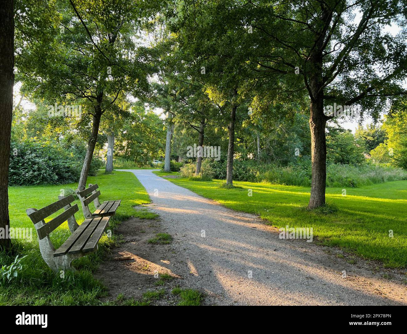 View of pathway going through park with beautiful green plants Stock ...