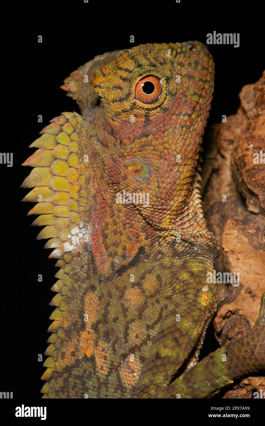 Angle head hi-res stock photography and images - Alamy